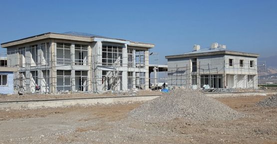 CANLI HAYVAN BORSASI'NDA 3. PADOK YAPILACAK