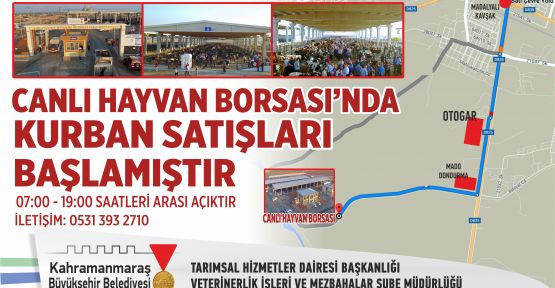 CANLI HAYVAN BORSASINDA KURBAN SATIŞLARI BAŞLADI